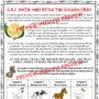 Spring Math Activity: Who Stole the Golden Orb? A Fun CSI Spring Math ...